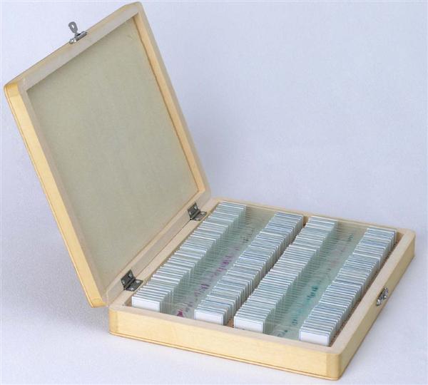 Microscope Slide Set 14c