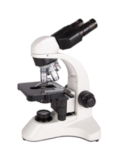 Compound Light Microscopes - Binocular.