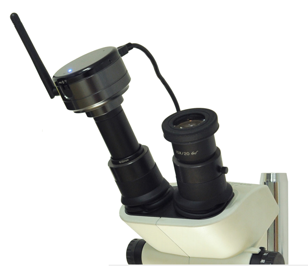 Compound Light Microscopes - Binocular.