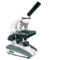 Compound Light Microscopes - Monocular.